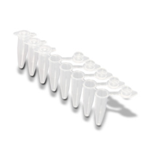 Smart-Q™ 800 Assay Tube Strips - 120 Pack — Blue Tiger Scientific