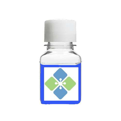 SDS-PAGE Staining Solution — Blue Tiger Scientific