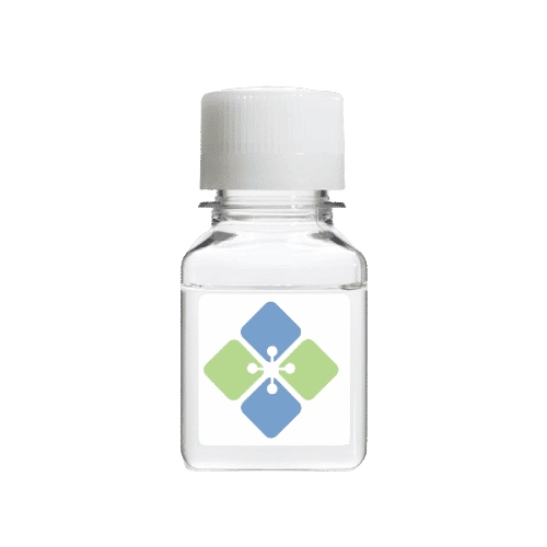 Human Troponin C – Biotechnology Grade 25 µg — Blue Tiger Scientific