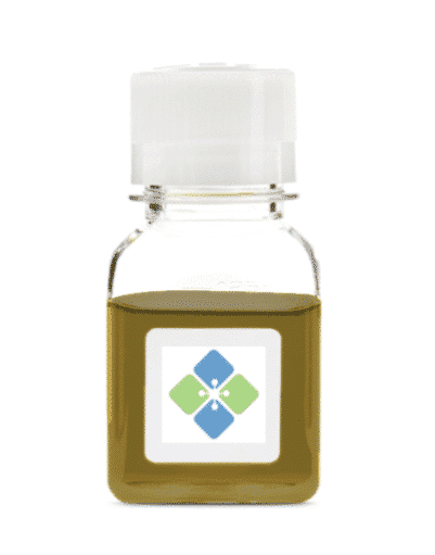 Folic Acid Magnetic Particles – 25–30 nm — Blue Tiger Scientific