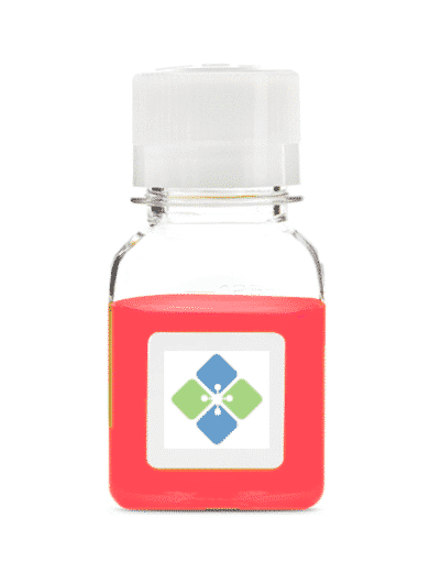 Rat Whole Blood – Rodent Hematologic Sample — Blue Tiger Scientific