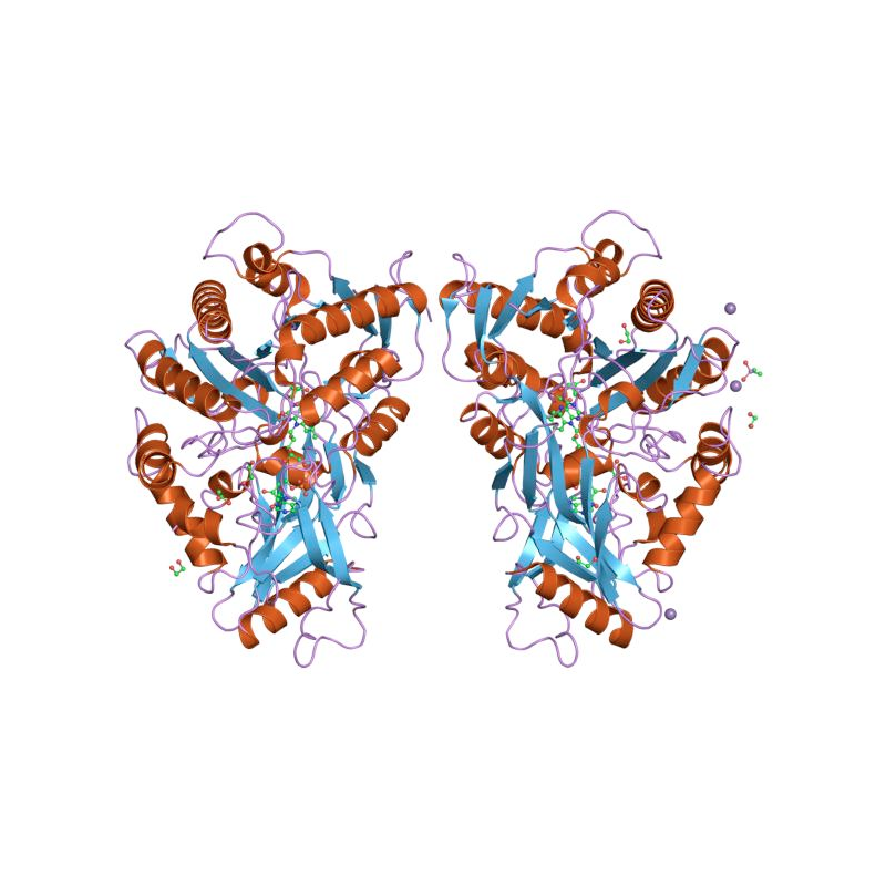 Cholesterol Oxidase (from Streptomyces sp.) – High-Purity Enzyme — Blue ...